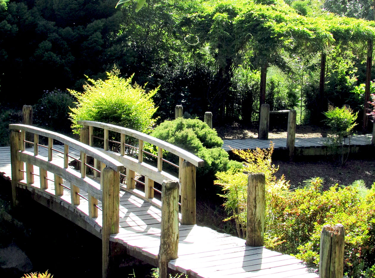 The Middle of June At Mingus Park #2: Bridges | Myriad Ways