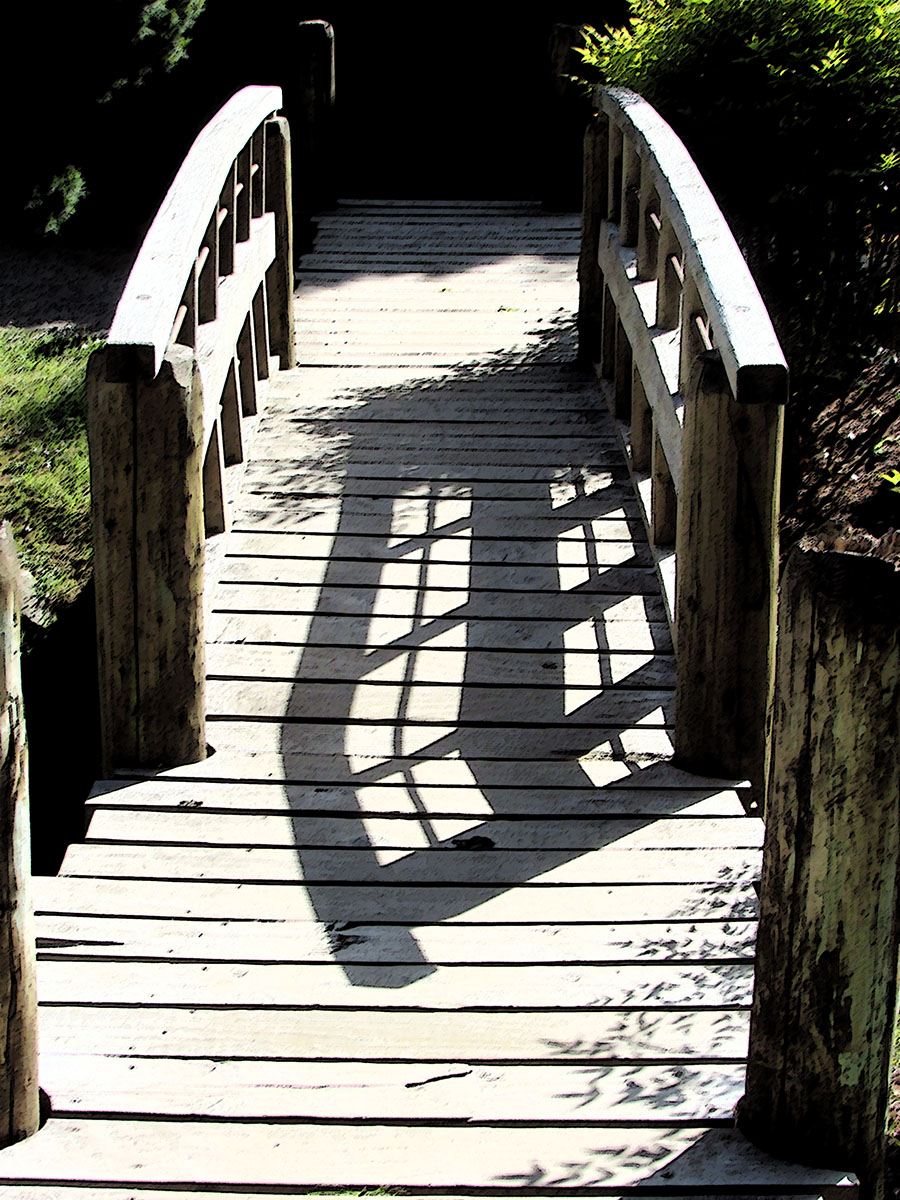The Middle of June At Mingus Park #2: Bridges | Myriad Ways