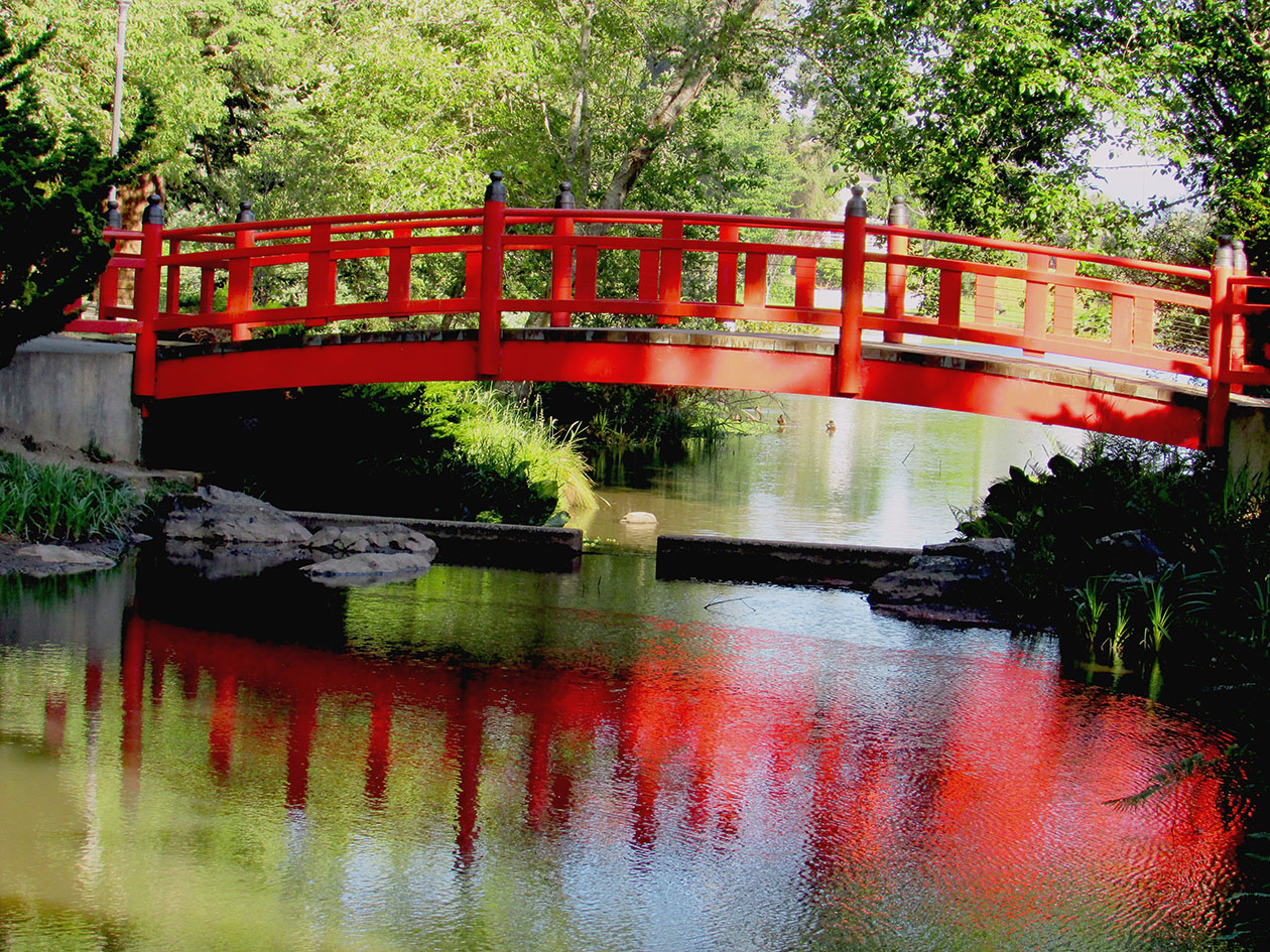 The Middle of June At Mingus Park #2: Bridges | Myriad Ways